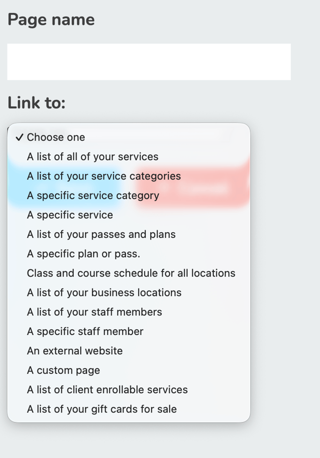 How do I add a custom page to my client facing Pike13 website?